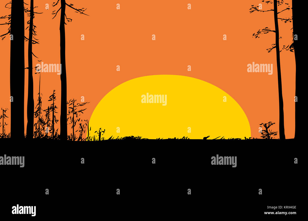 Peaceful woodland sunrise wilderness scene Stock Photo - Alamy