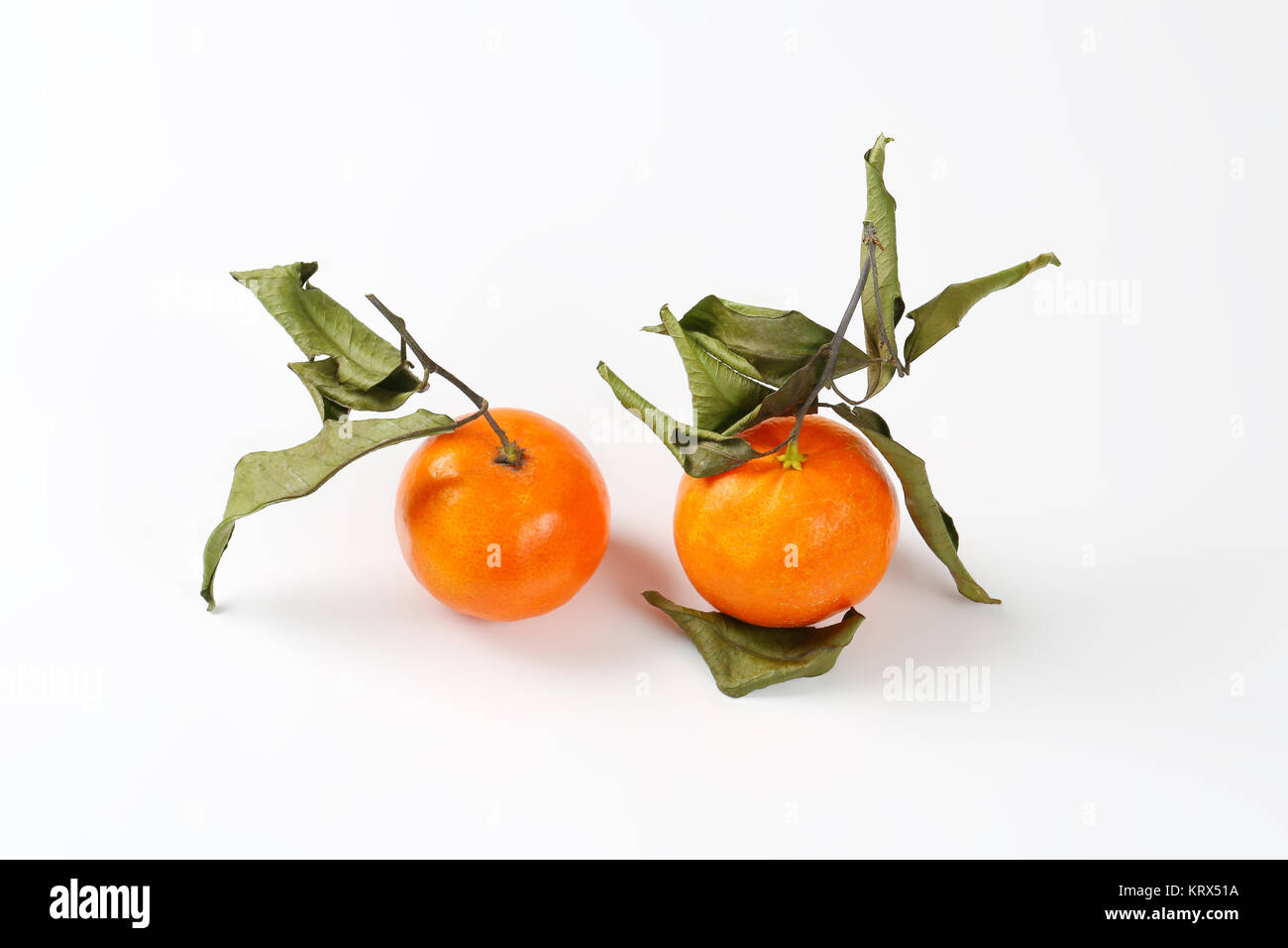 two tangerines with dry leaves Stock Photo - Alamy