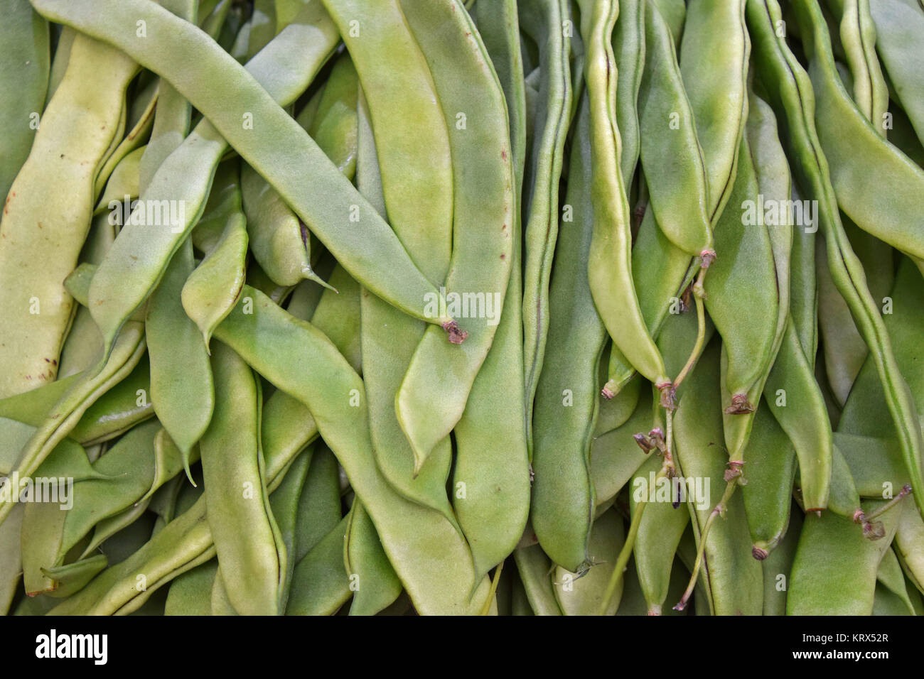Green fresh beans at retail market close up Stock Photo - Alamy