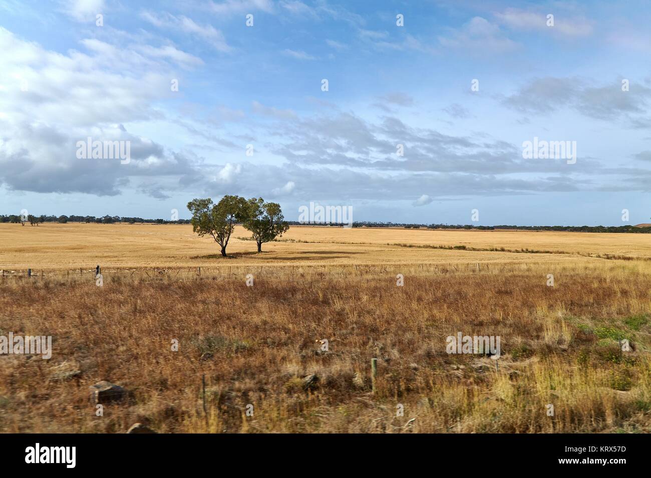 Fields of Australian wild landscape Stock Photo - Alamy