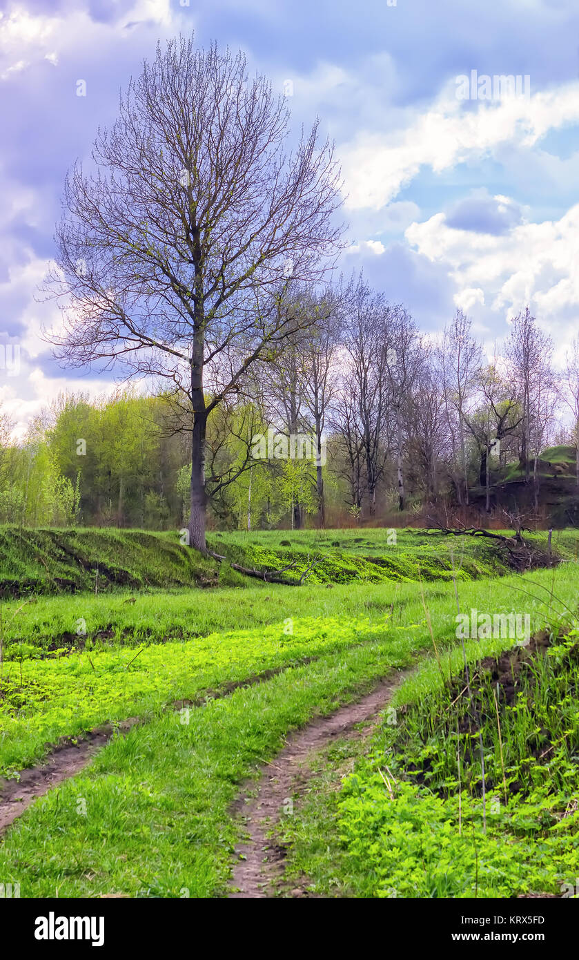 Spring Rural Landscape Stock Photo - Alamy