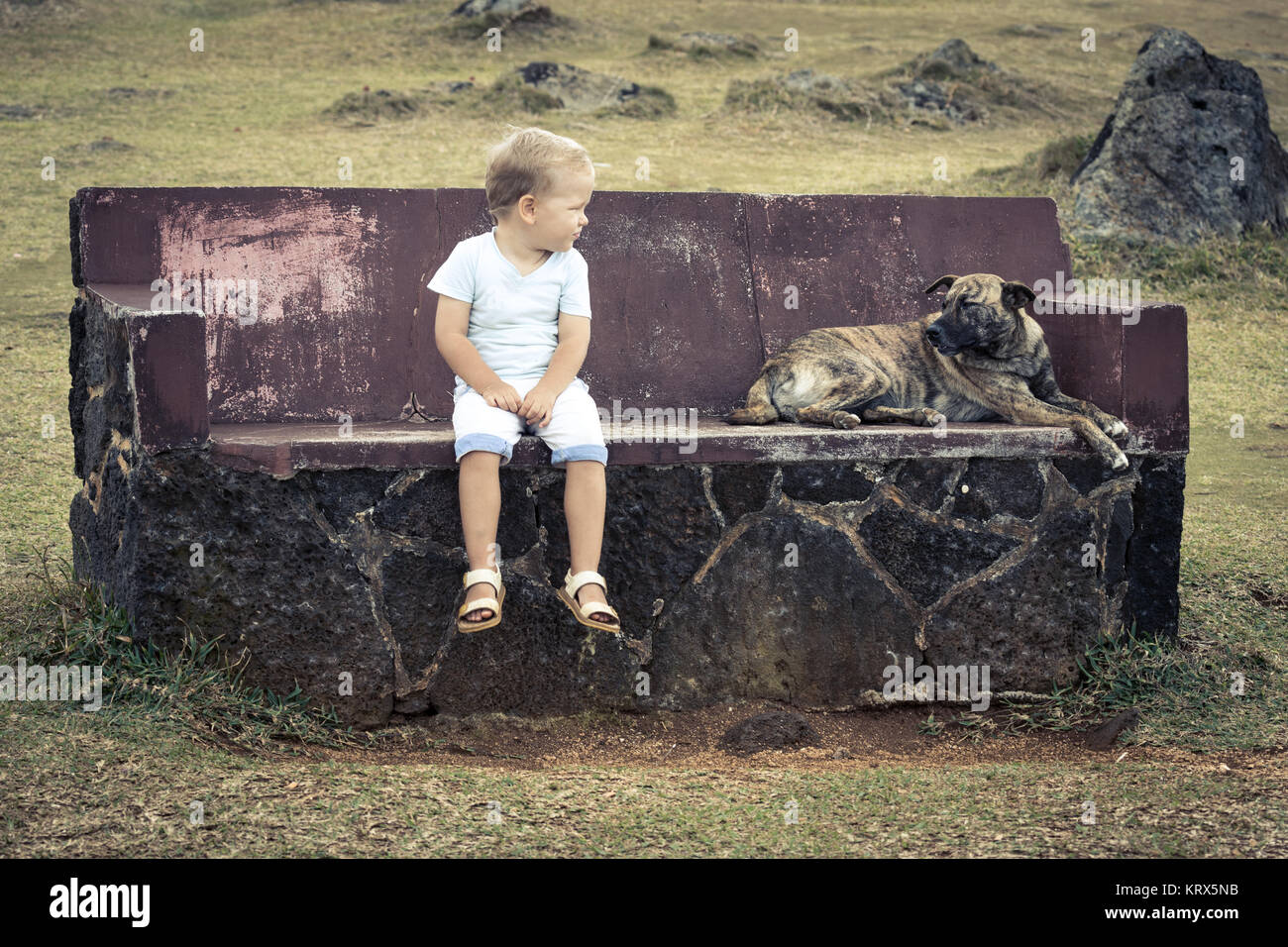 Kid dog cub hi-res stock photography and images - Alamy