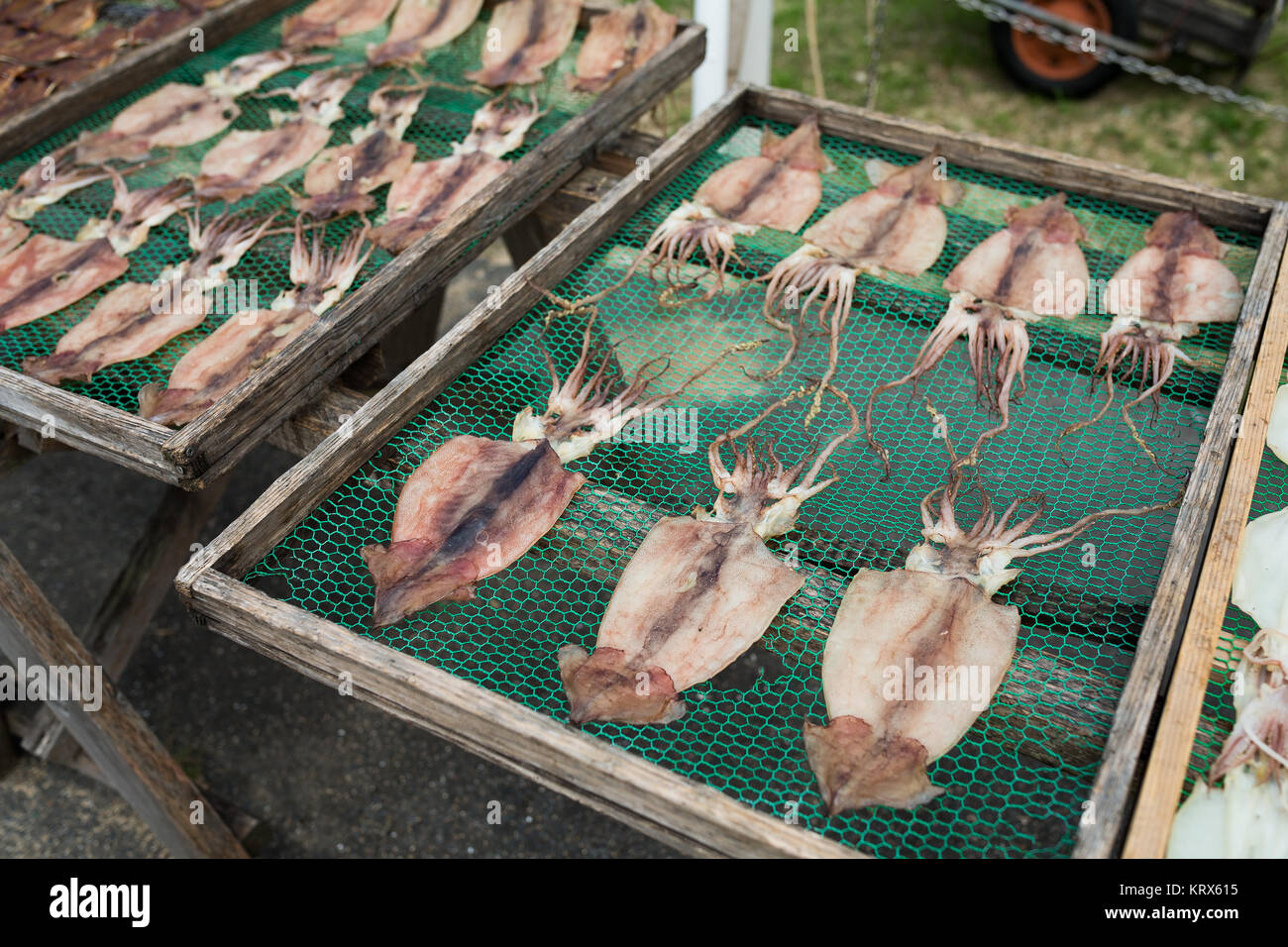 Drying squid in market Stock Photo - Alamy