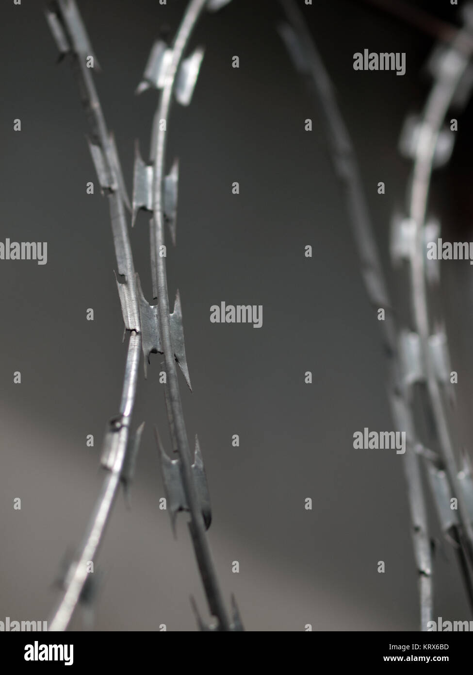 Razor wire metal mesh fence hi-res stock photography and images - Alamy