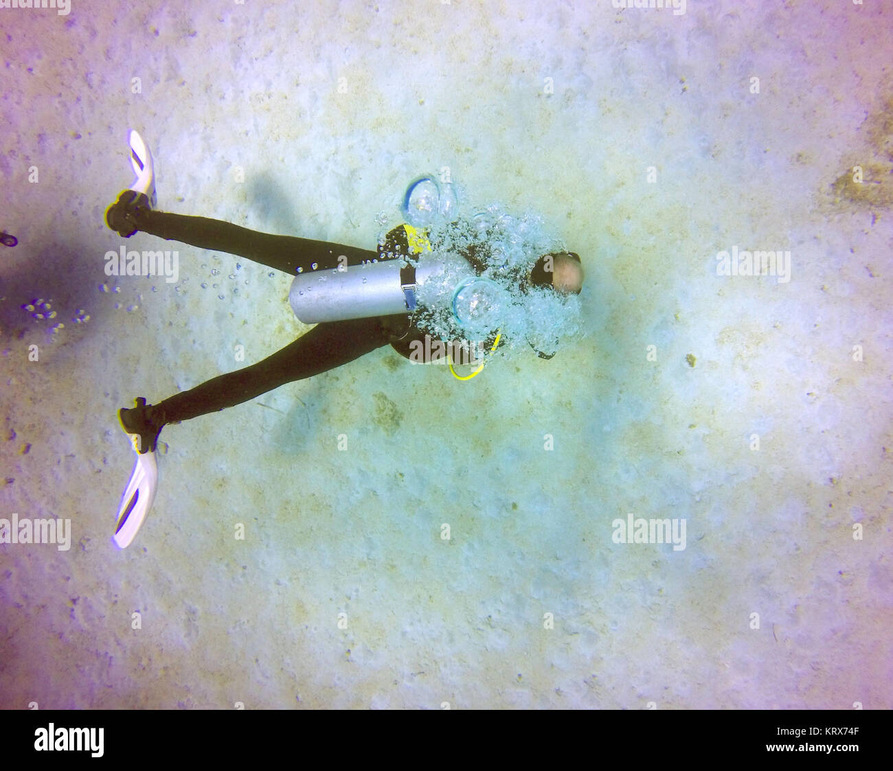 Free diver woman fins hi-res stock photography and images - Alamy