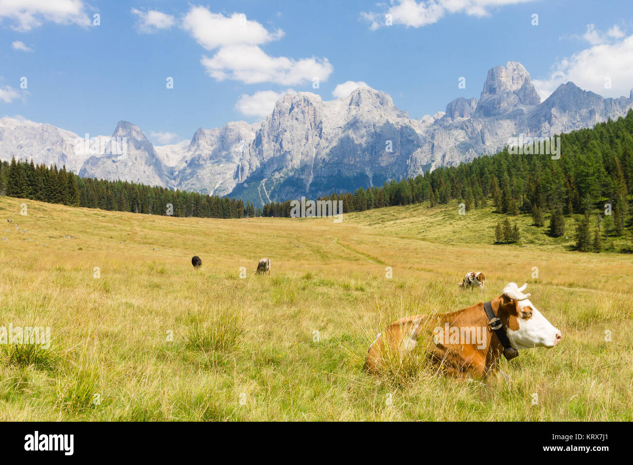 Beautiful alpine panorama Stock Photo - Alamy