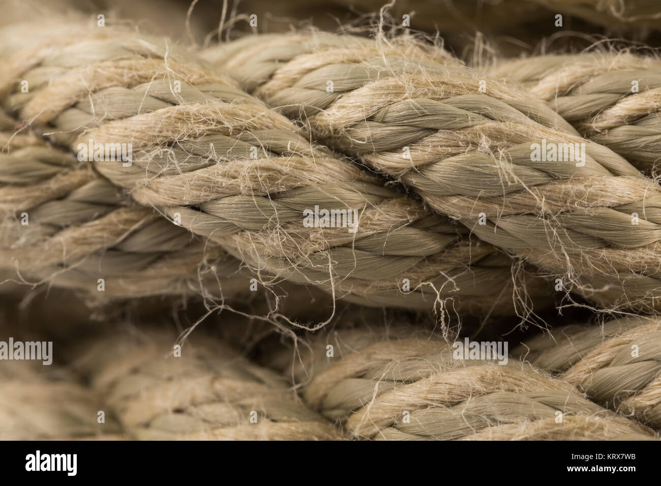 Old rope close up Stock Photo - Alamy
