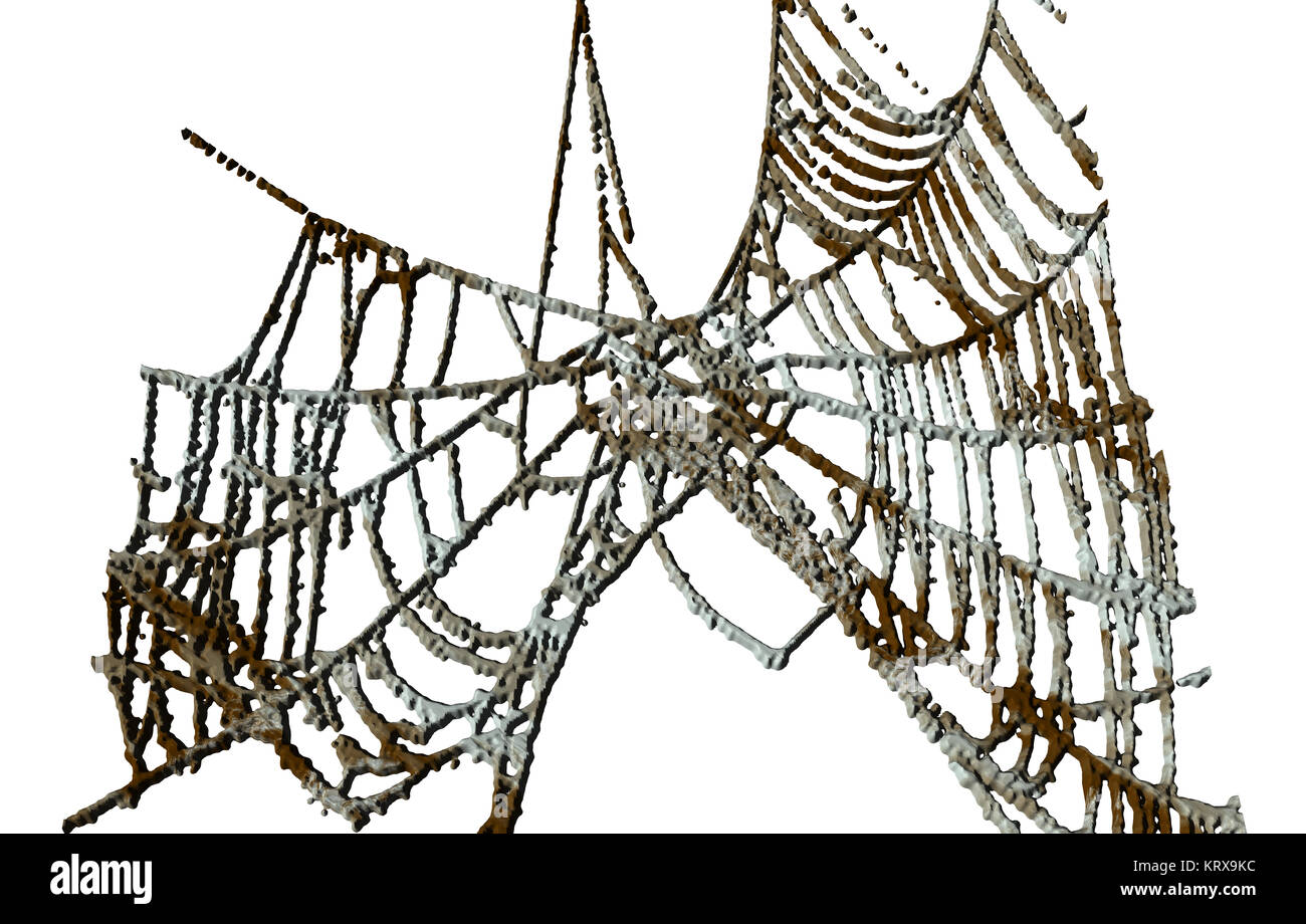 Webs Cut Out Stock Images & Pictures - Alamy