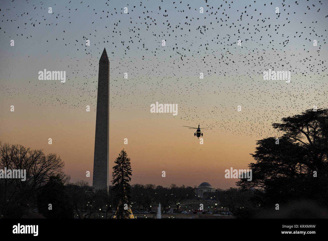 Us government birds hi-res stock photography and images - Alamy