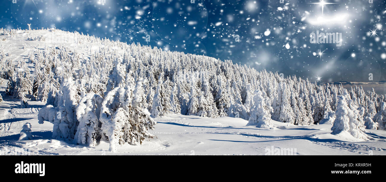 Winter landscape with snowy fir trees Stock Photo - Alamy