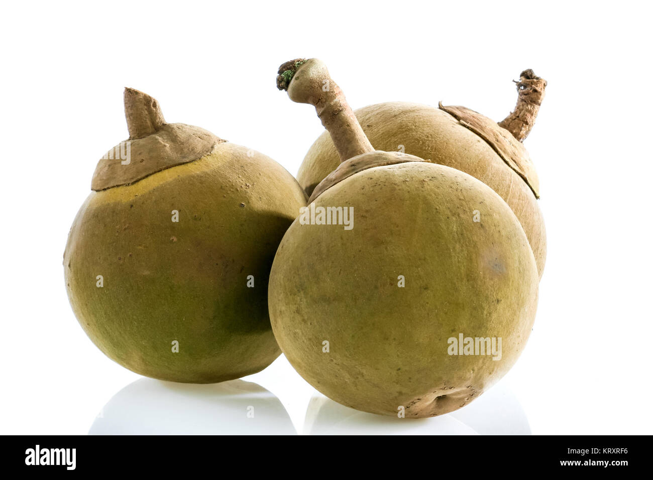 Tropical fruit - Sapodilla (Matisia cordata) on whithe background Stock ...