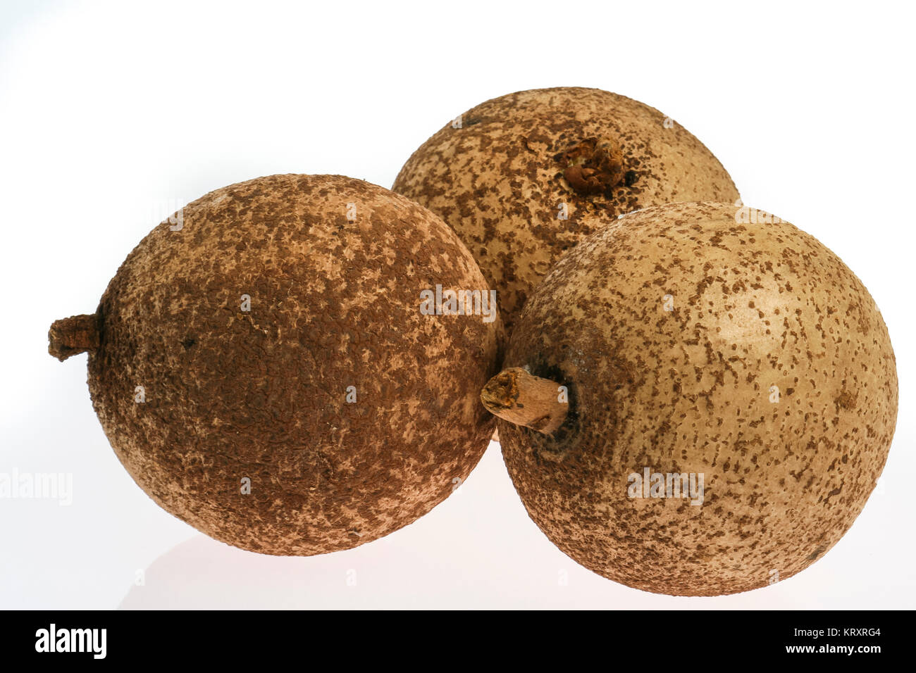 Tropical fruit - mammee apple (Mammea americana Stock Photo - Alamy