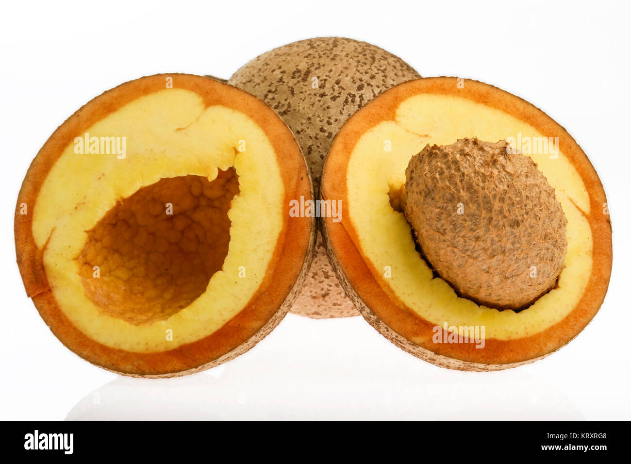 Tropical fruit - mammee apple (Mammea americana Stock Photo - Alamy