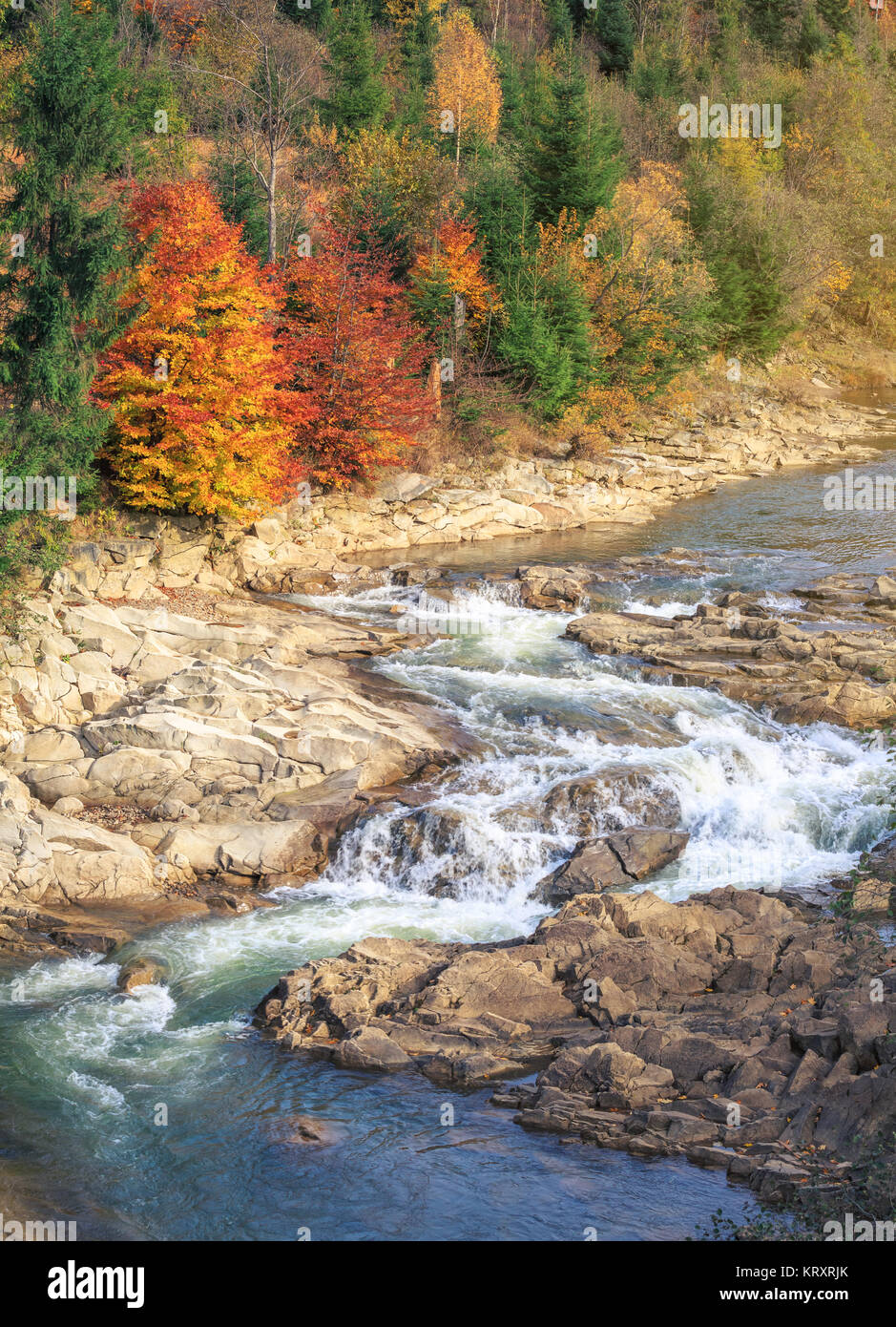 beautiful fast mountain river in autumn forest Stock Photo - Alamy