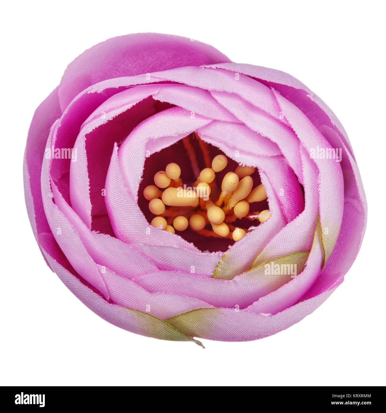 purple flower head isolated, beautiful decoration,top view Stock Photo ...