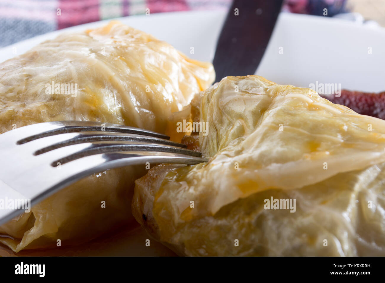 Serbian dish sarma served in white plate Stock Photo - Alamy