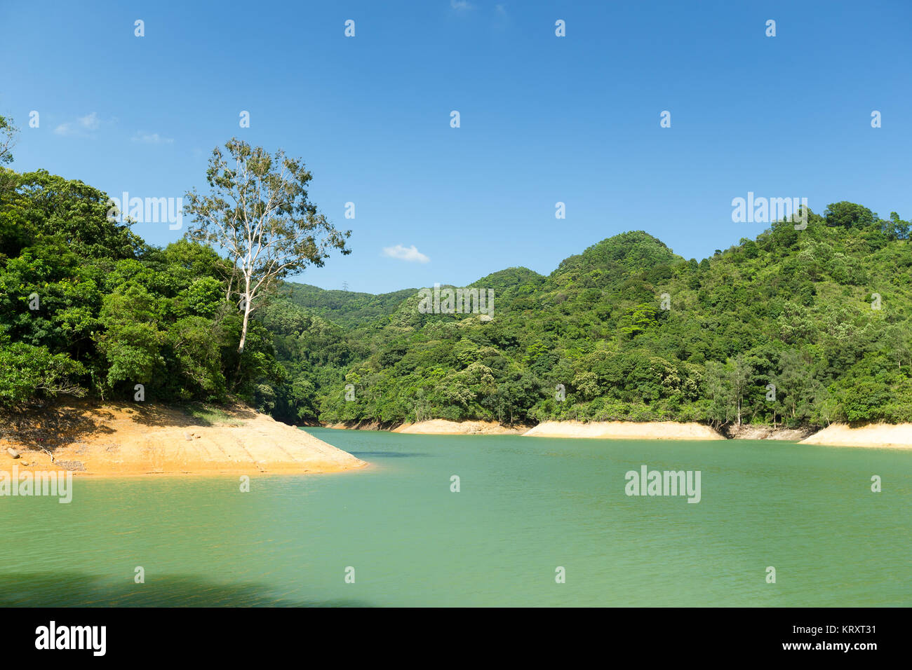 Water Reservoir and forest Stock Photo - Alamy