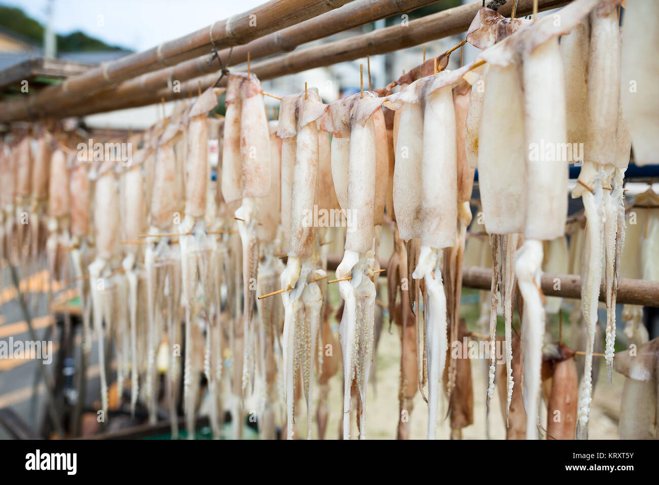 Dried squid hanging on the stand Stock Photo - Alamy