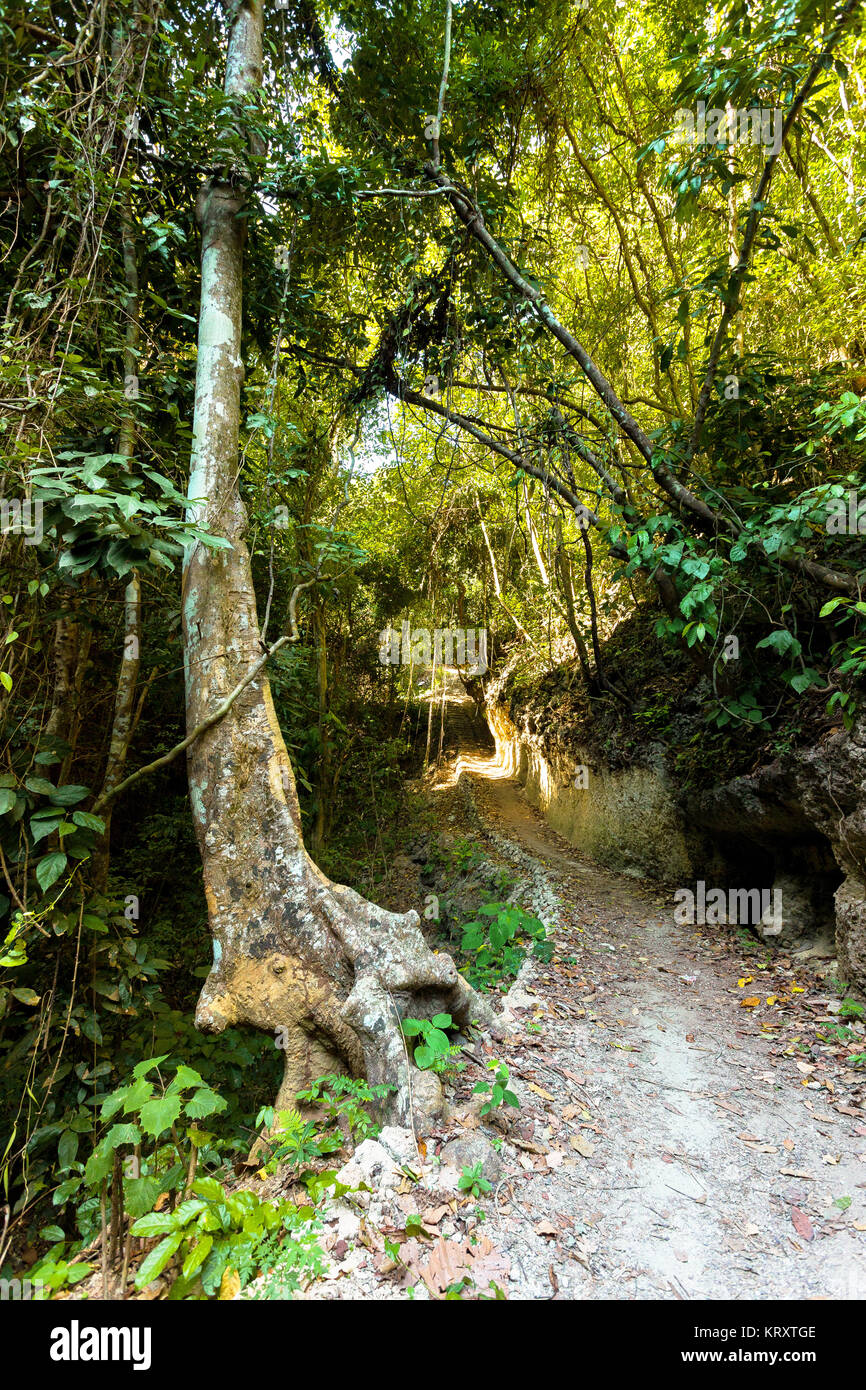 path way , Indonesia, Bali Stock Photo - Alamy