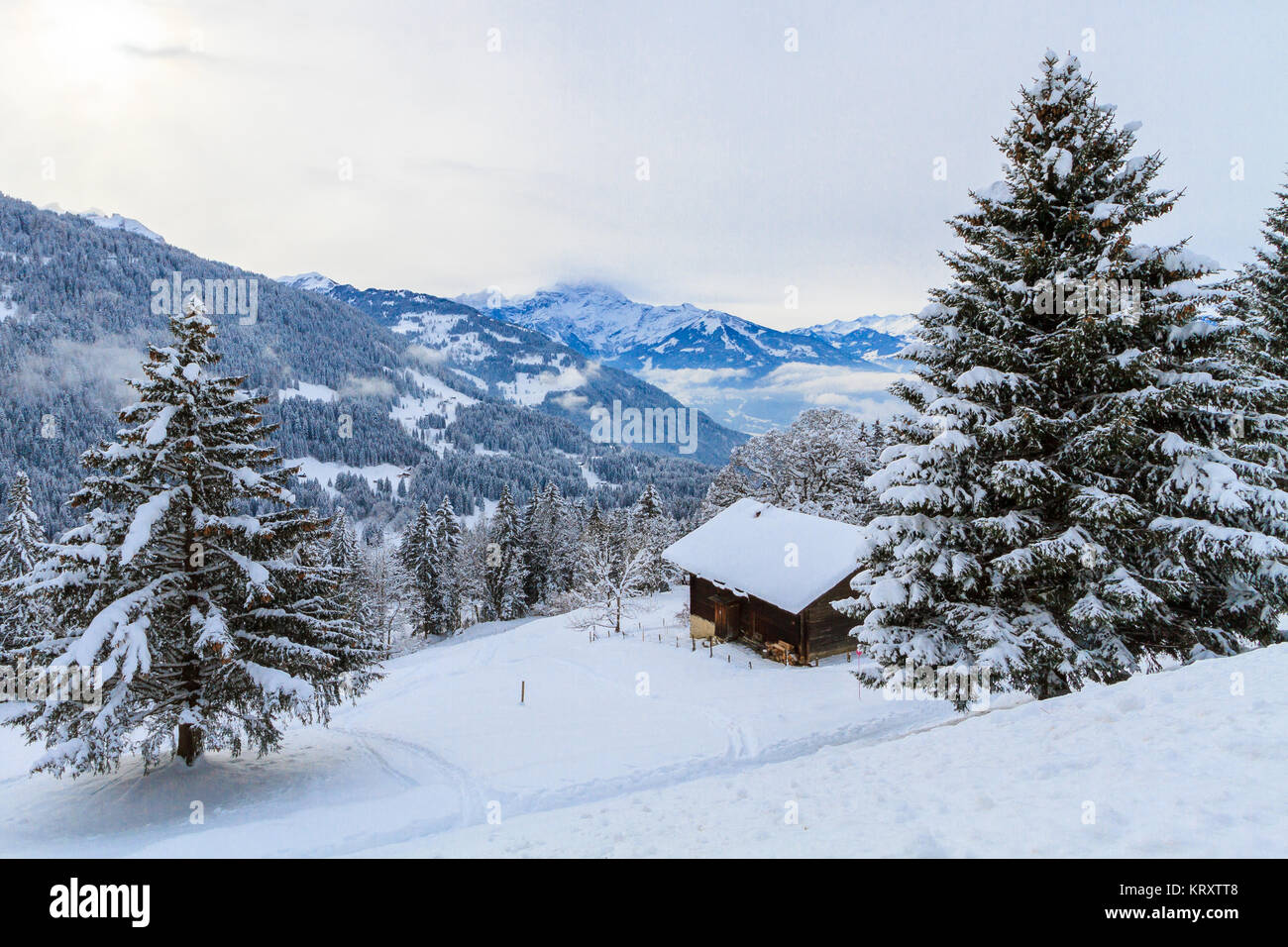 Â winter landscape in switzerland,villars-sur-ollon Stock Photo - Alamy