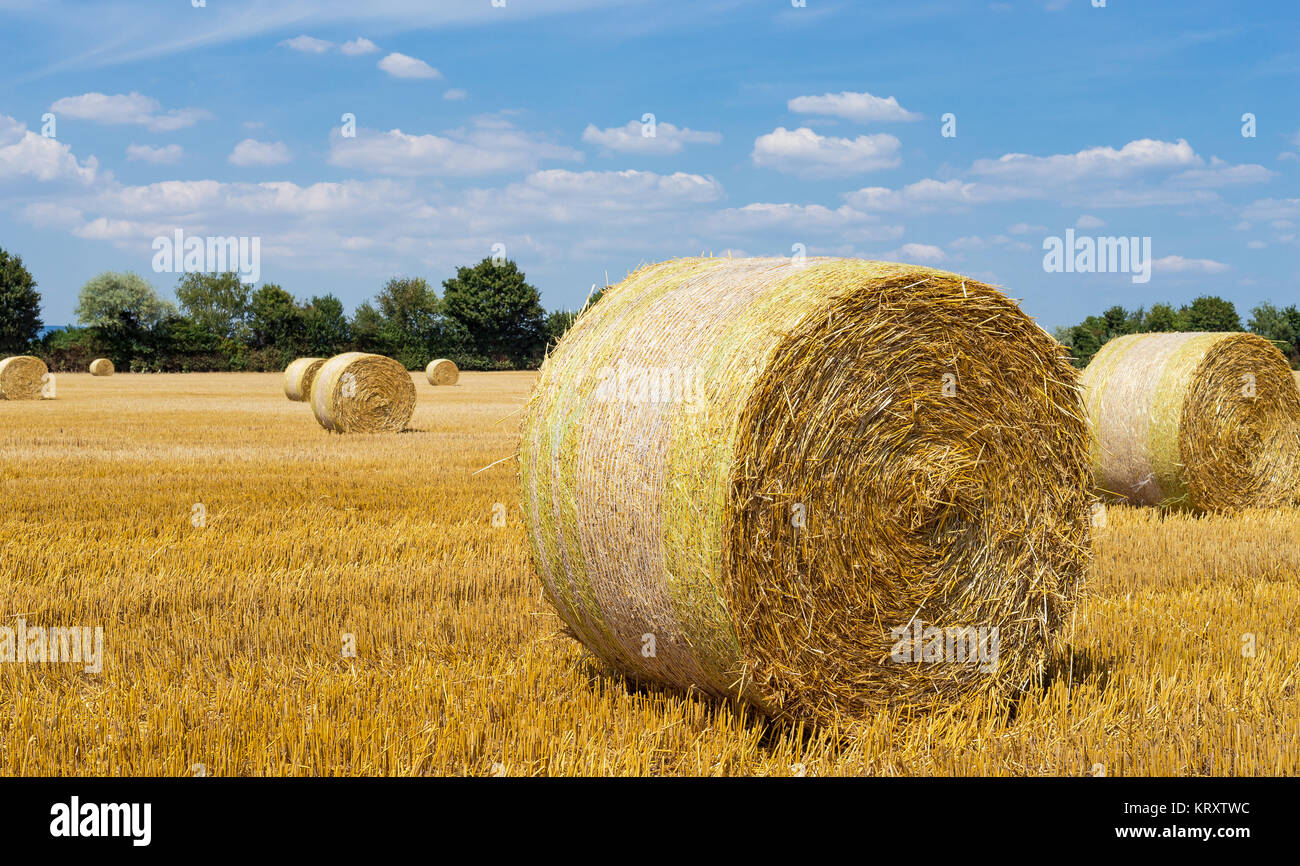 Flour bales hi-res stock photography and images - Alamy