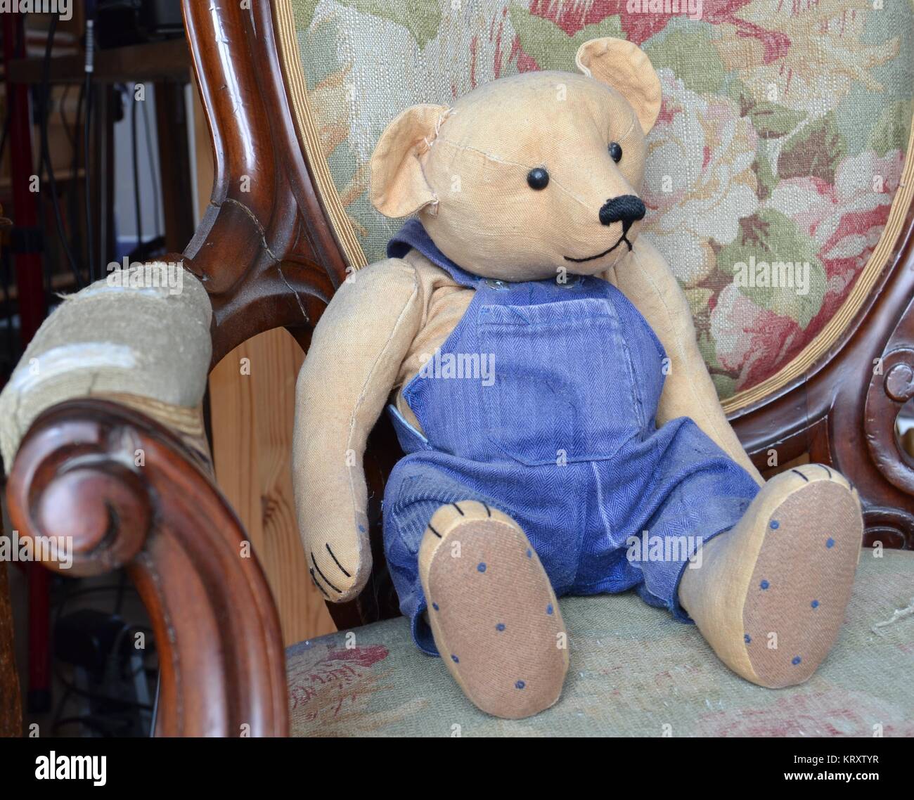 Pet teddy bear teddybear hi-res stock photography and images - Alamy