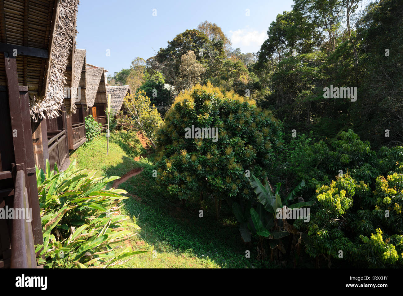 Madagascar beautiful landscape Stock Photo - Alamy