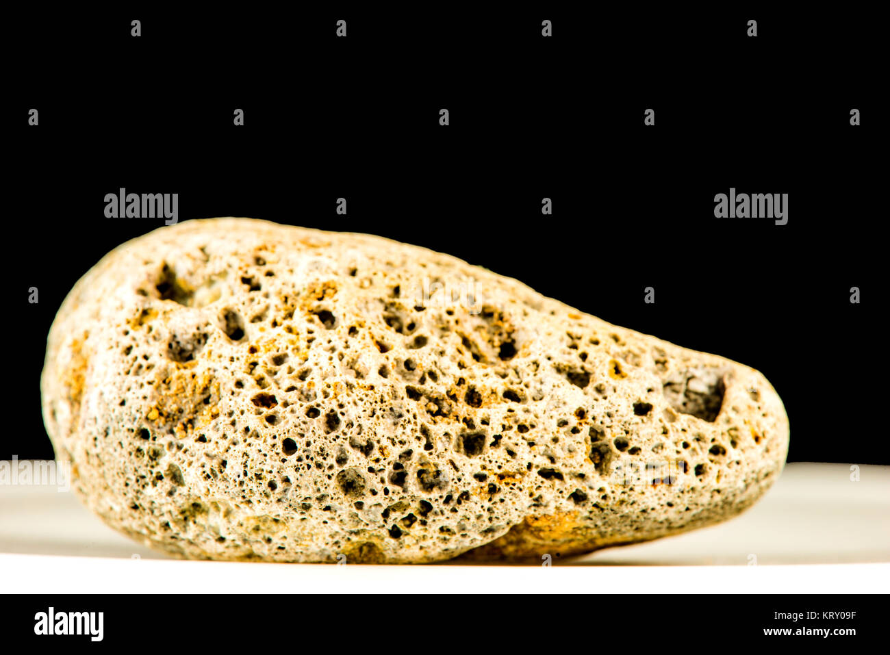 Petrified coral hi-res stock photography and images - Alamy