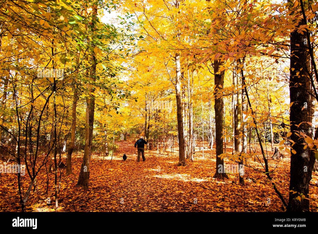 Orange yellow fading sunlight hi-res stock photography and images - Alamy
