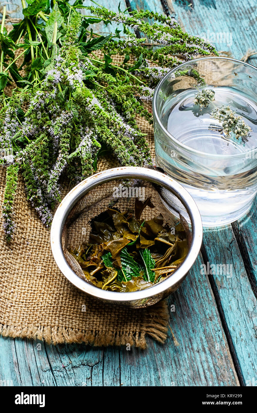 herb mint tea Stock Photo - Alamy