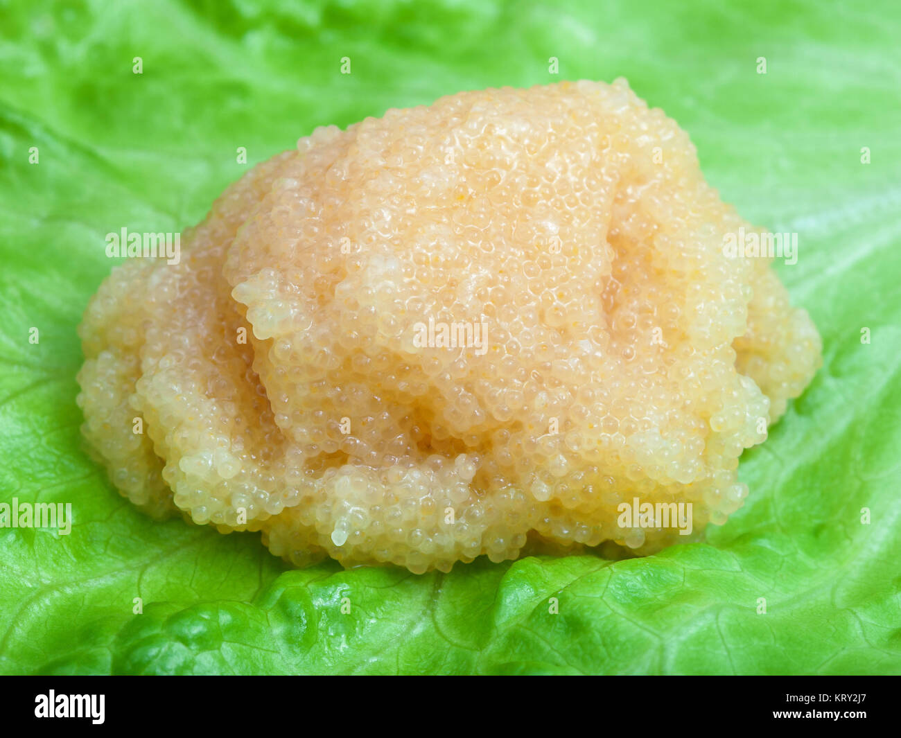 Capelin spawn hi-res stock photography and images - Alamy