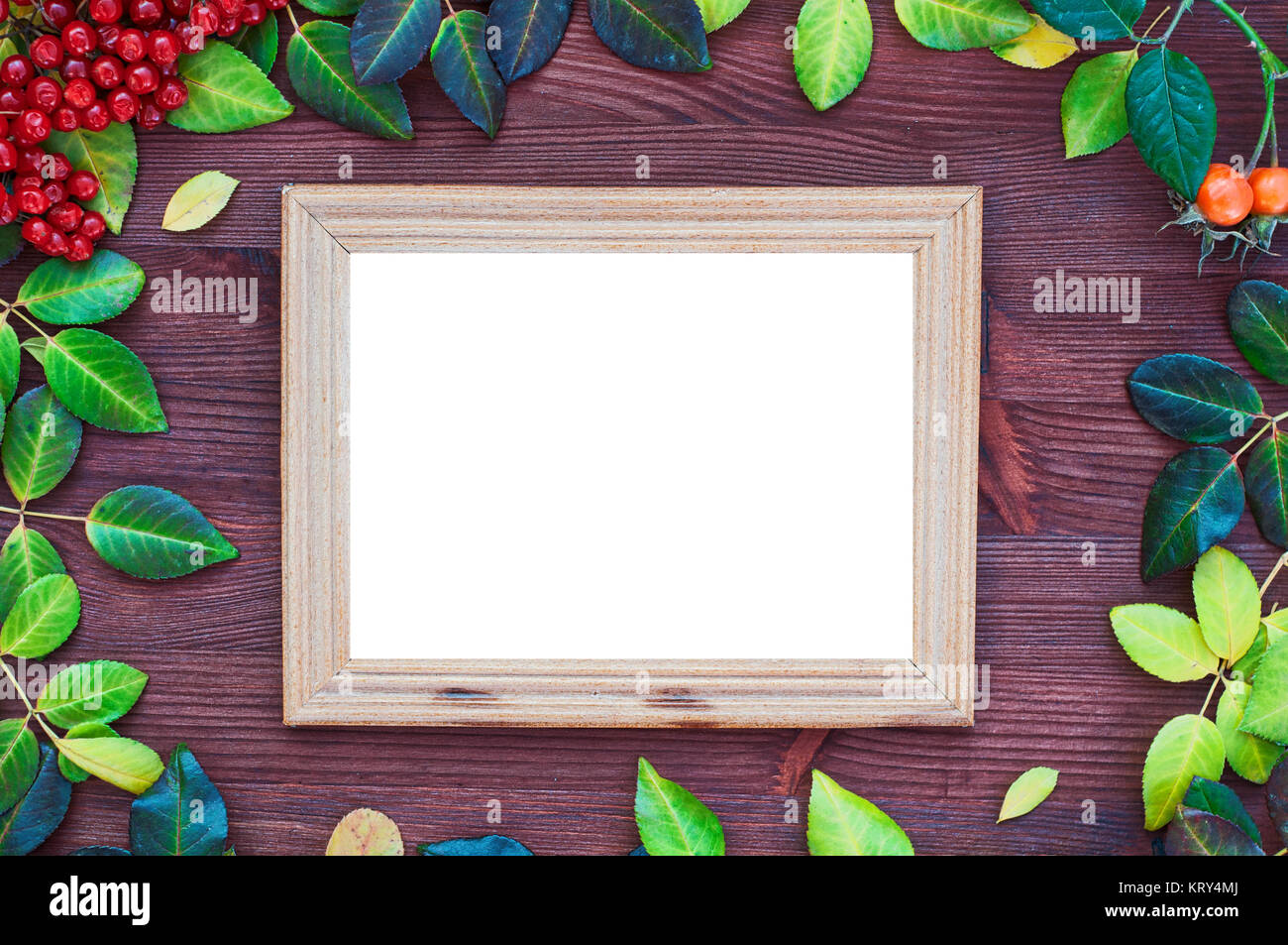 Empty picture frame around the yellow and green leaves Stock Photo - Alamy