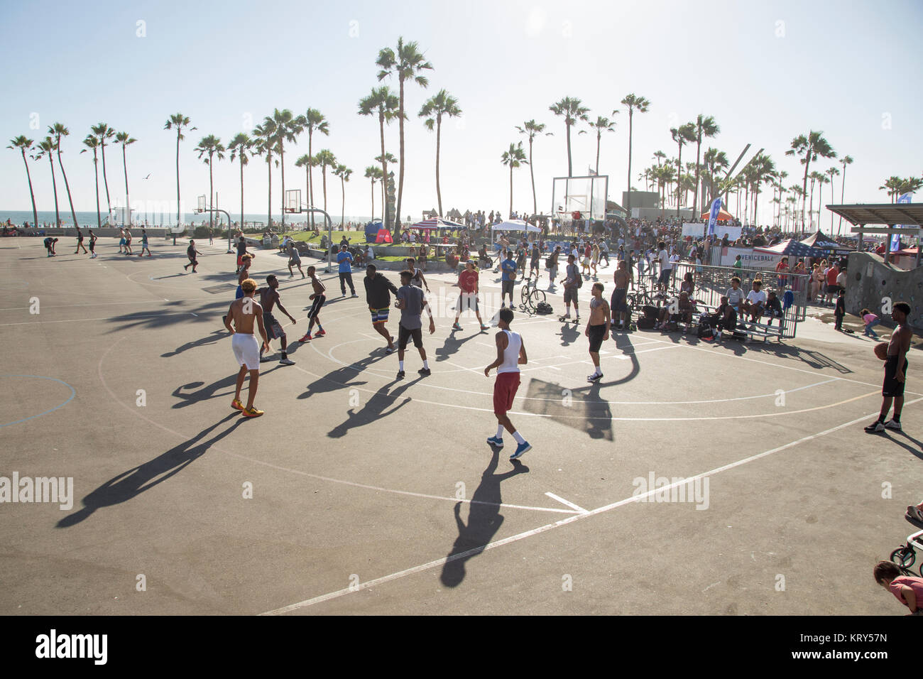 Palm tree basketball hi-res stock photography and images - Alamy