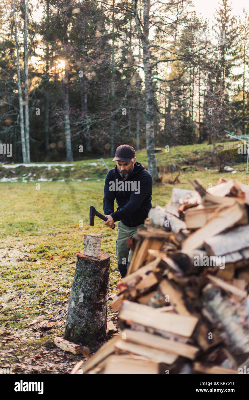 Chopping wood rural scene hi-res stock photography and images - Alamy