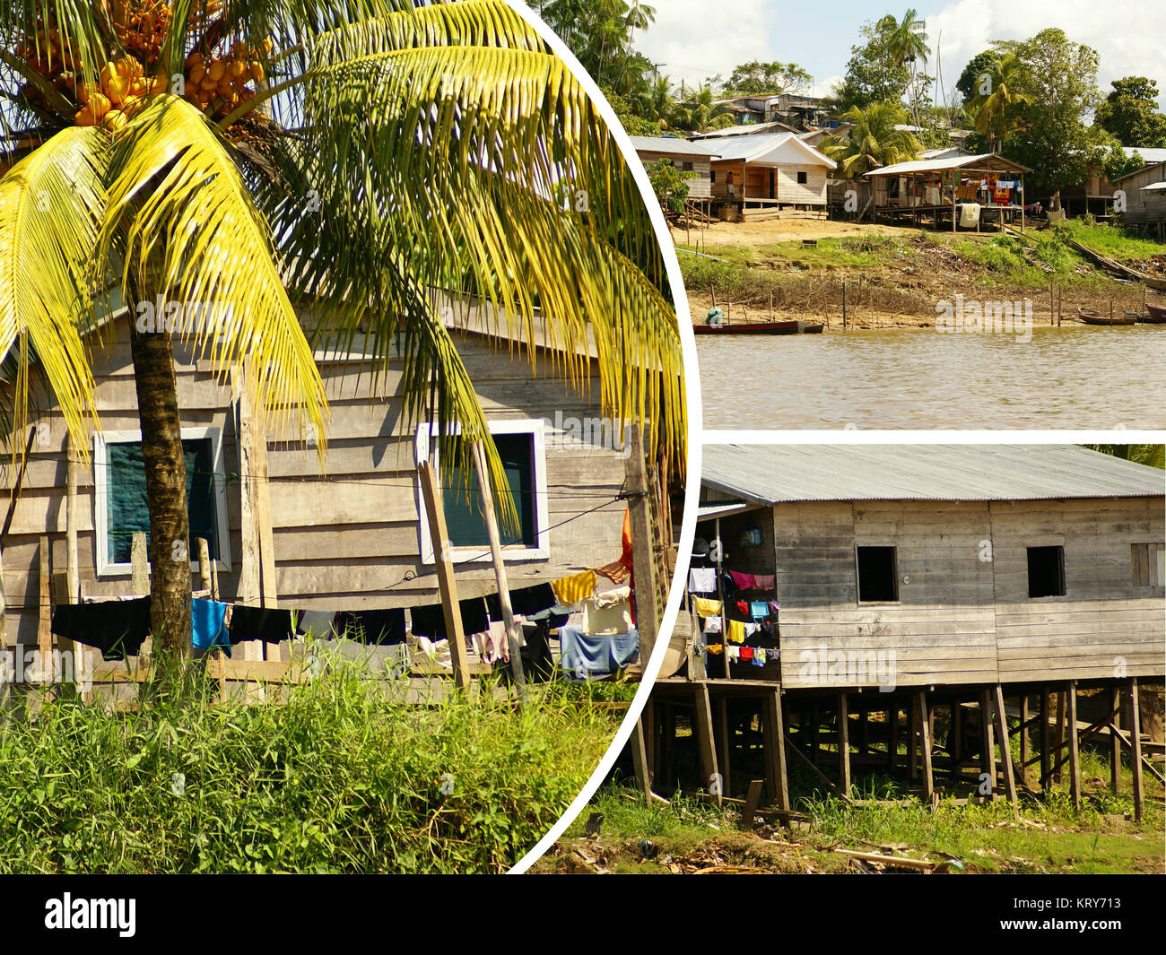 collage of amazonia,peru (my photos Stock Photo - Alamy