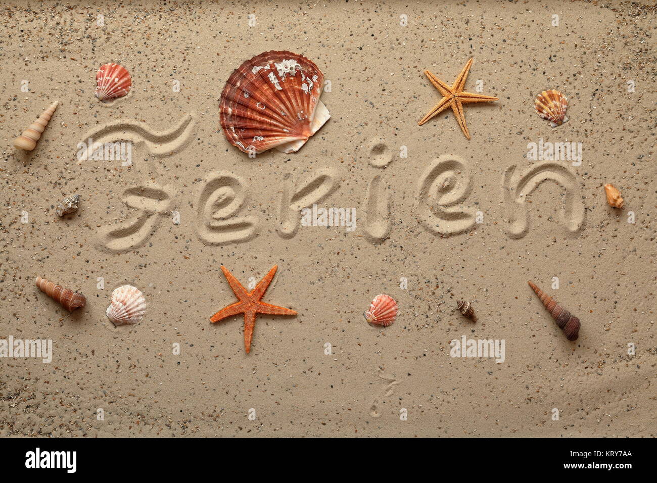 wallpaper with shells and starfish Stock Photo - Alamy