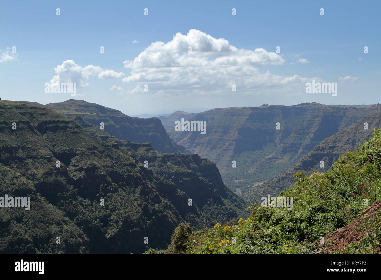 Simien nationalpark hi-res stock photography and images - Alamy