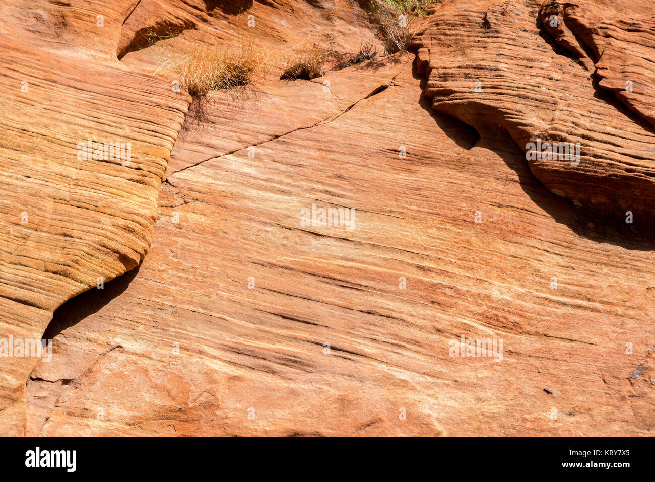 Red Rock Wall in Zion National Park Stock Photo - Alamy