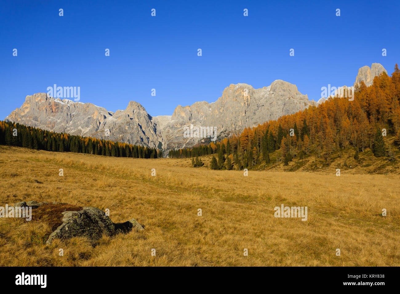 Autumn panorama from Italian Alps Stock Photo - Alamy
