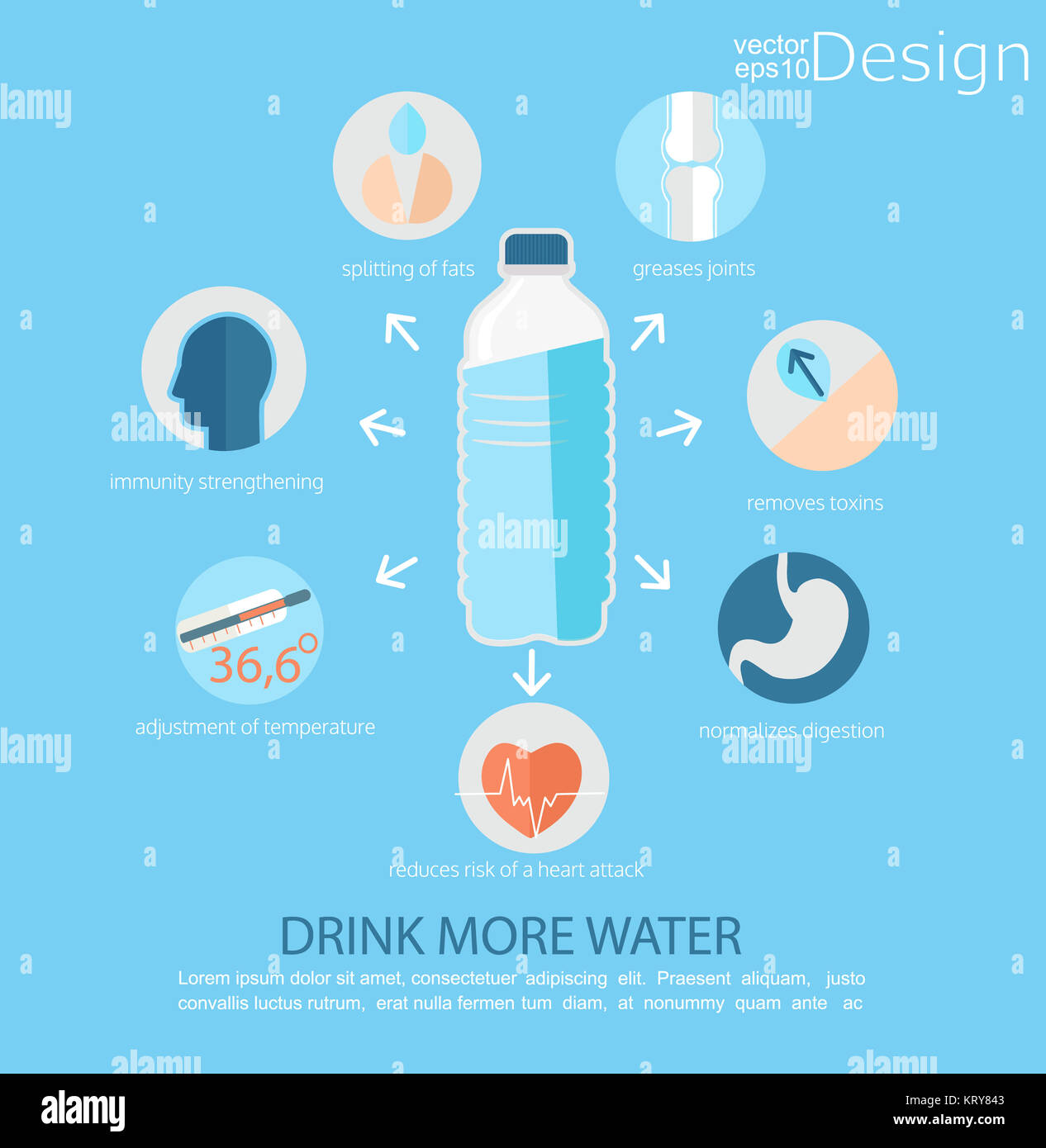 Human muscle chart hi-res stock photography and images - Alamy