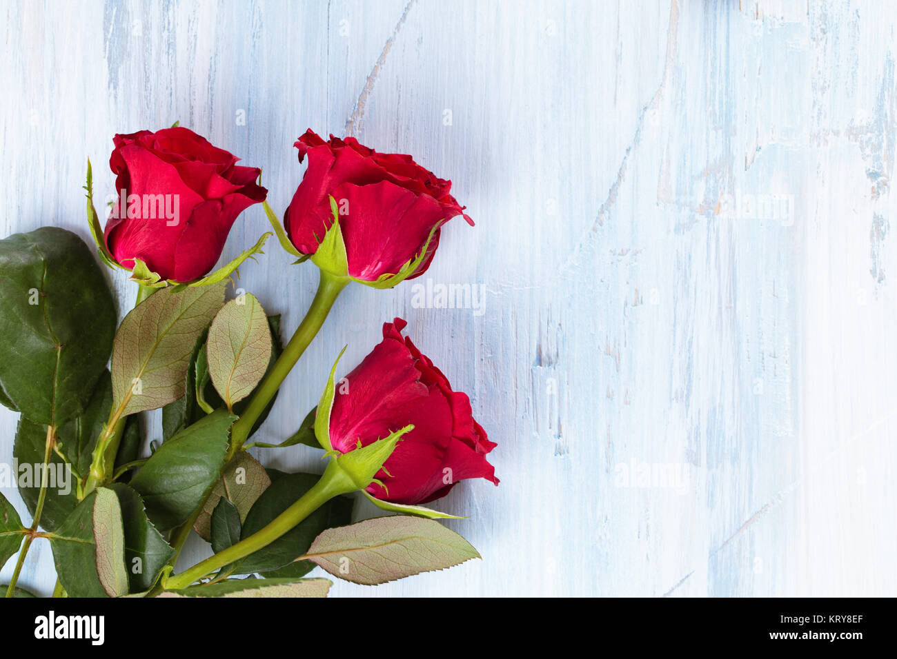 Frame of roses Stock Photo - Alamy
