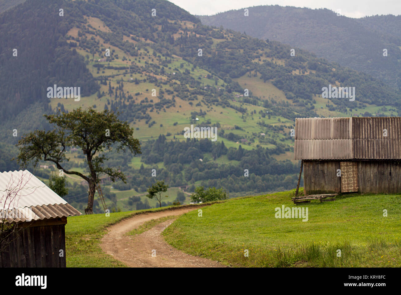 Nice picture grassland hi-res stock photography and images - Alamy