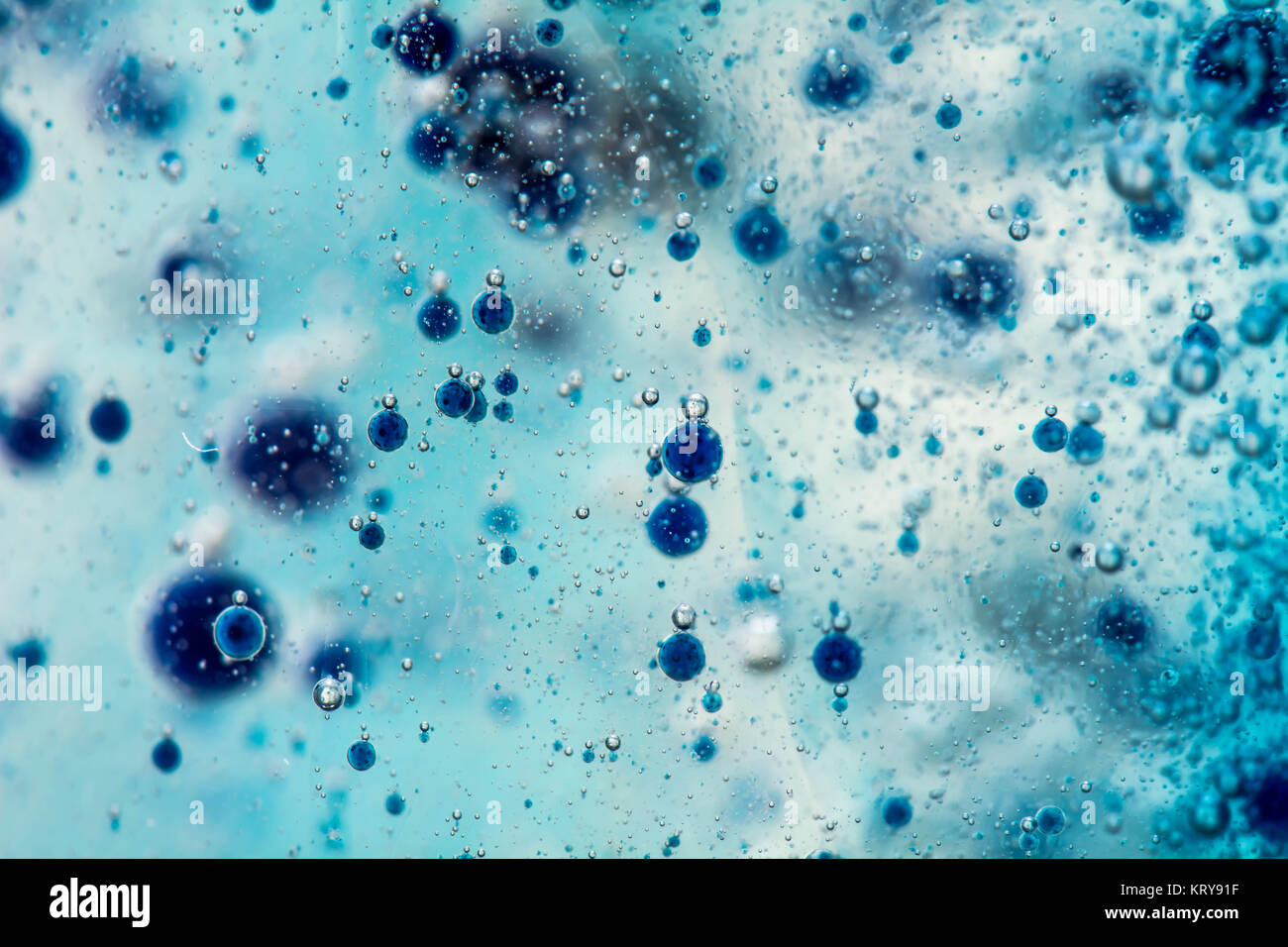 Yellowfuzzy hi-res stock photography and images - Alamy