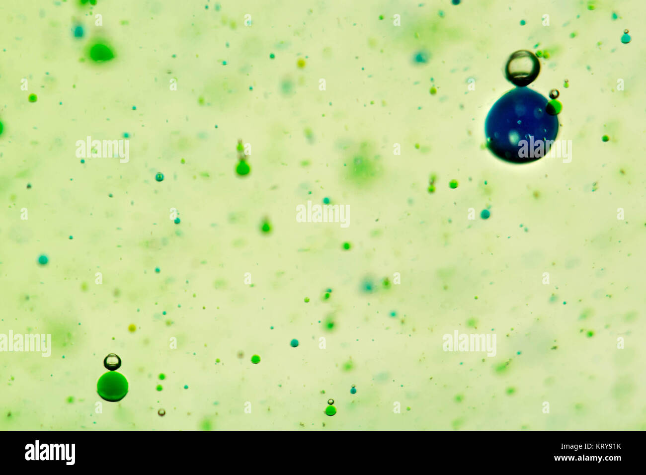 Yellowfuzzy hi-res stock photography and images - Alamy