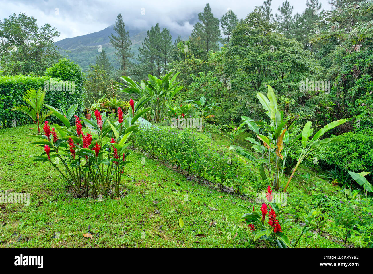 Vulcan arenal hi-res stock photography and images - Alamy