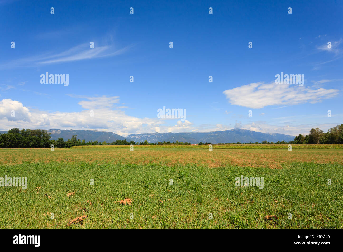 Agriculture, uncultivated field Stock Photo - Alamy