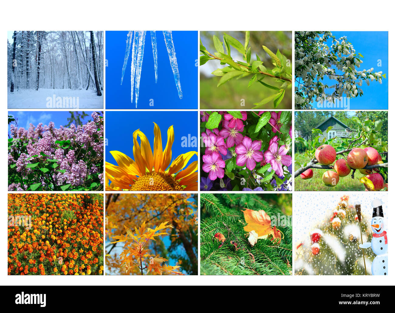 Twelve months of the year hi-res stock photography and images - Alamy