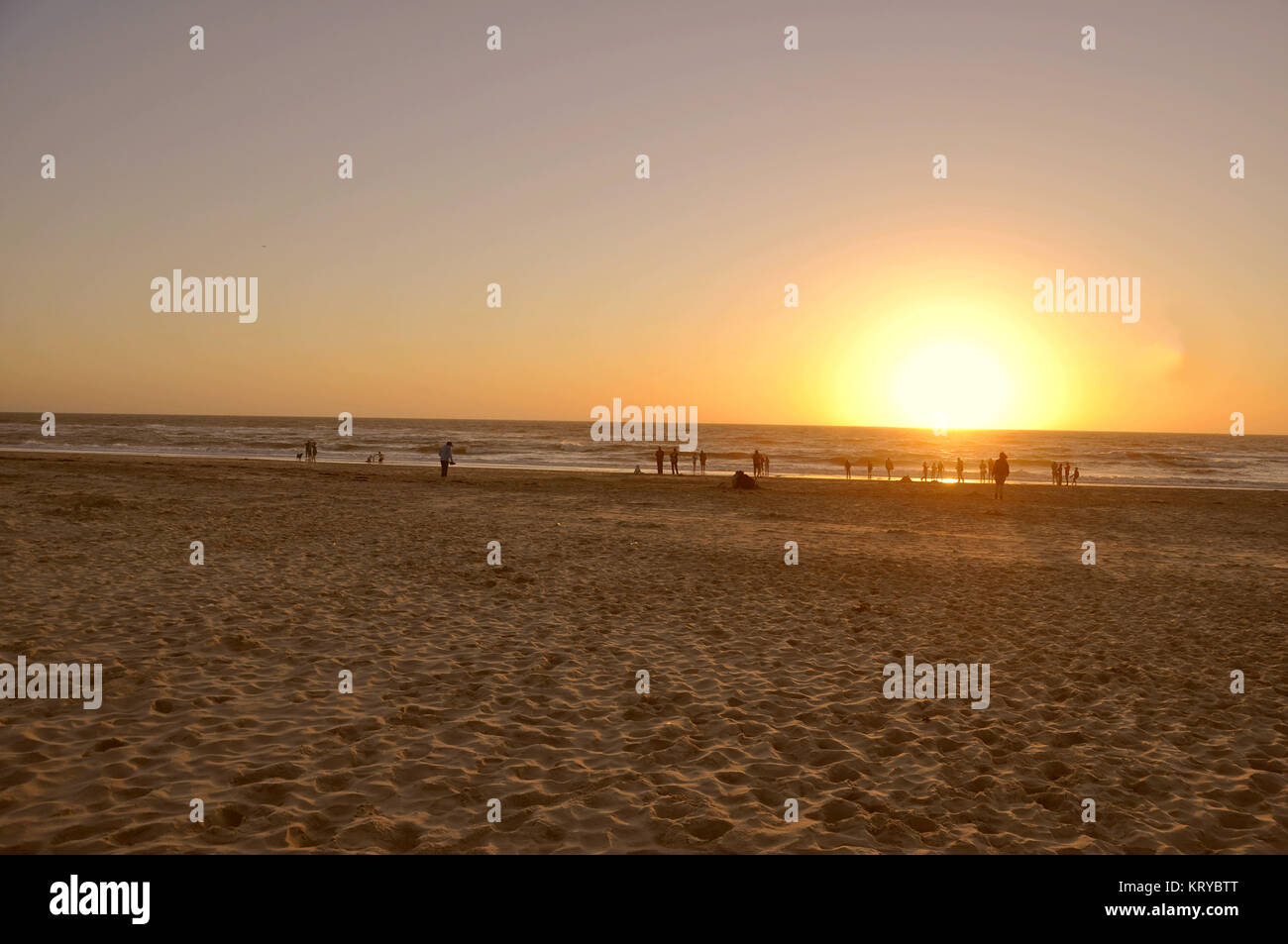 petten in the netherlands Stock Photo - Alamy