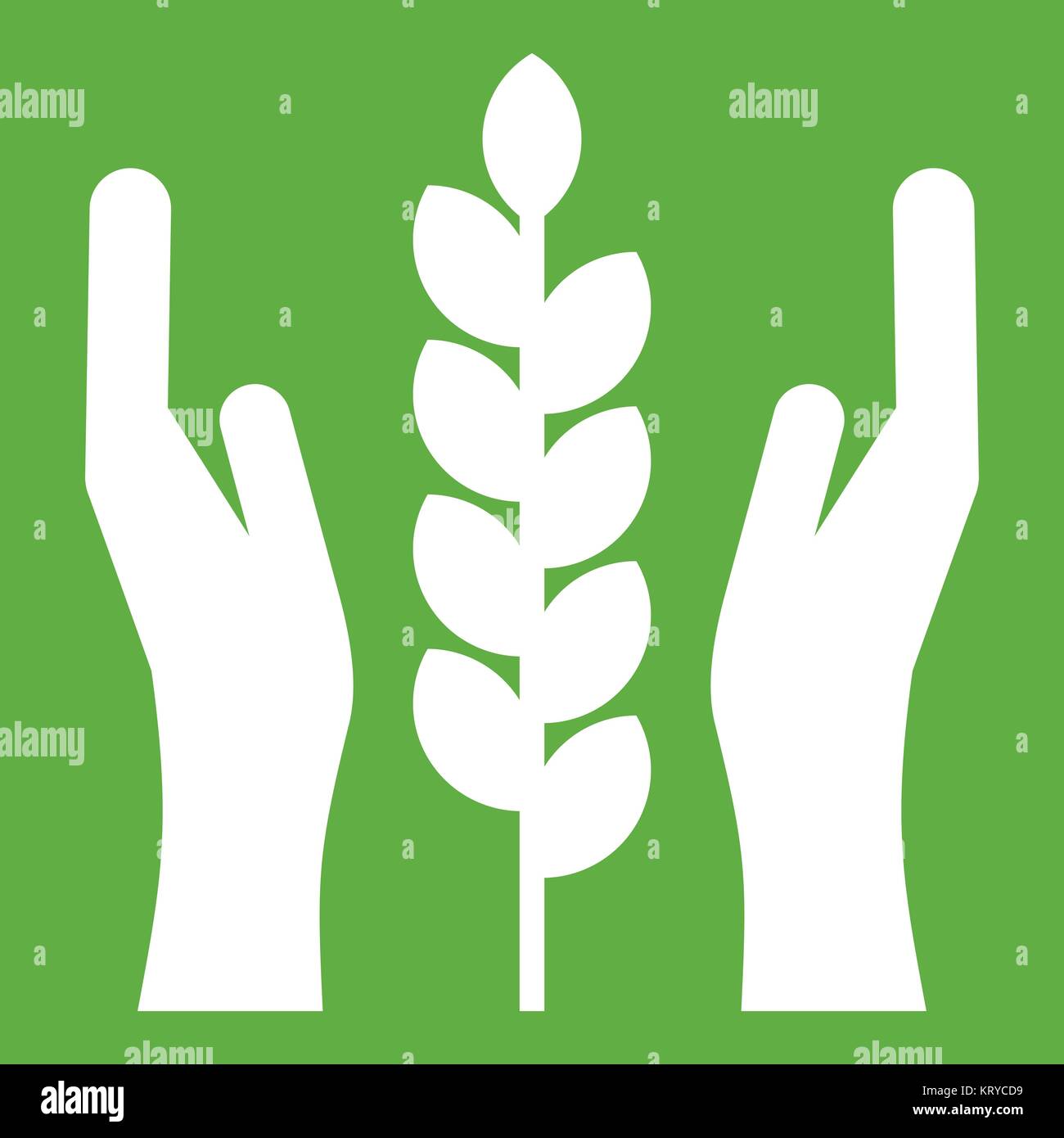 Hands and ear of wheat icon green Stock Vector Image & Art - Alamy