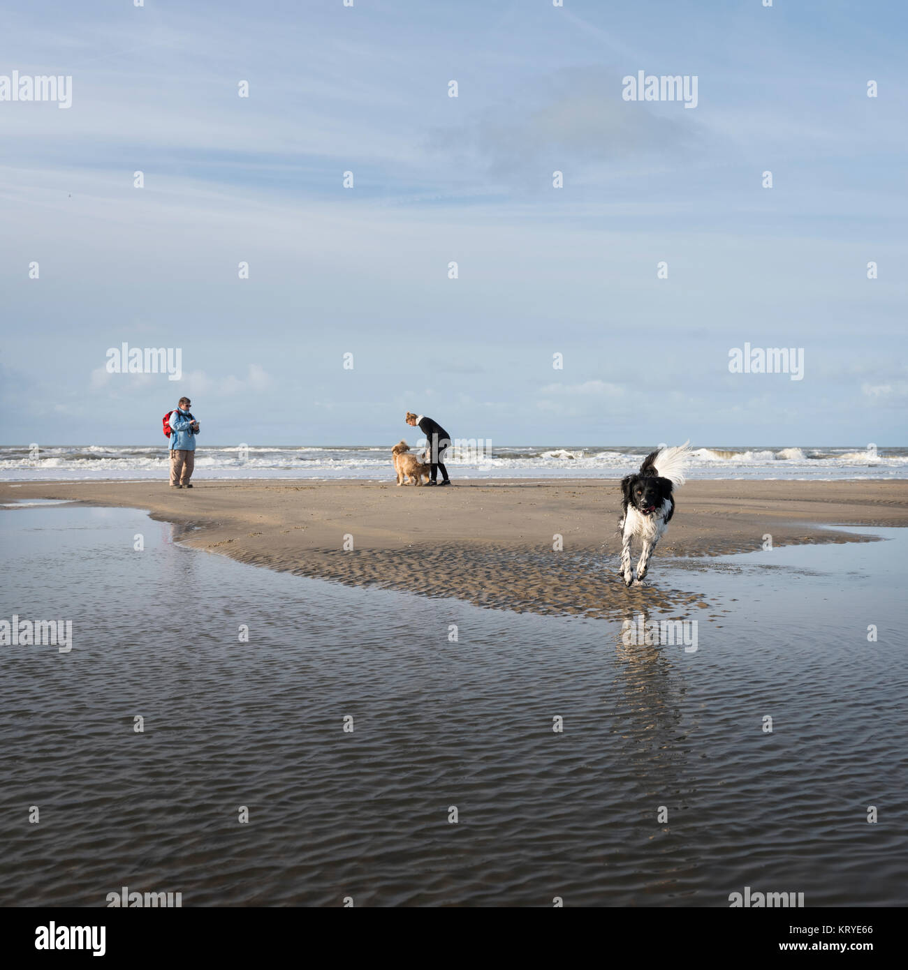 Camperduin hi-res stock photography and images - Alamy